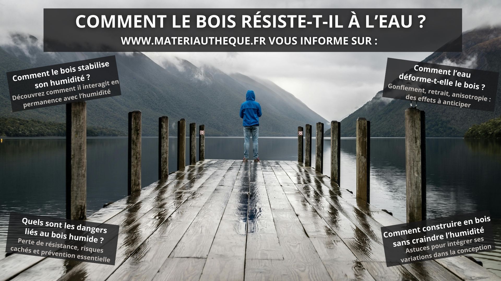 Matériauthèque | Le bois | qu'est-ce que c'est