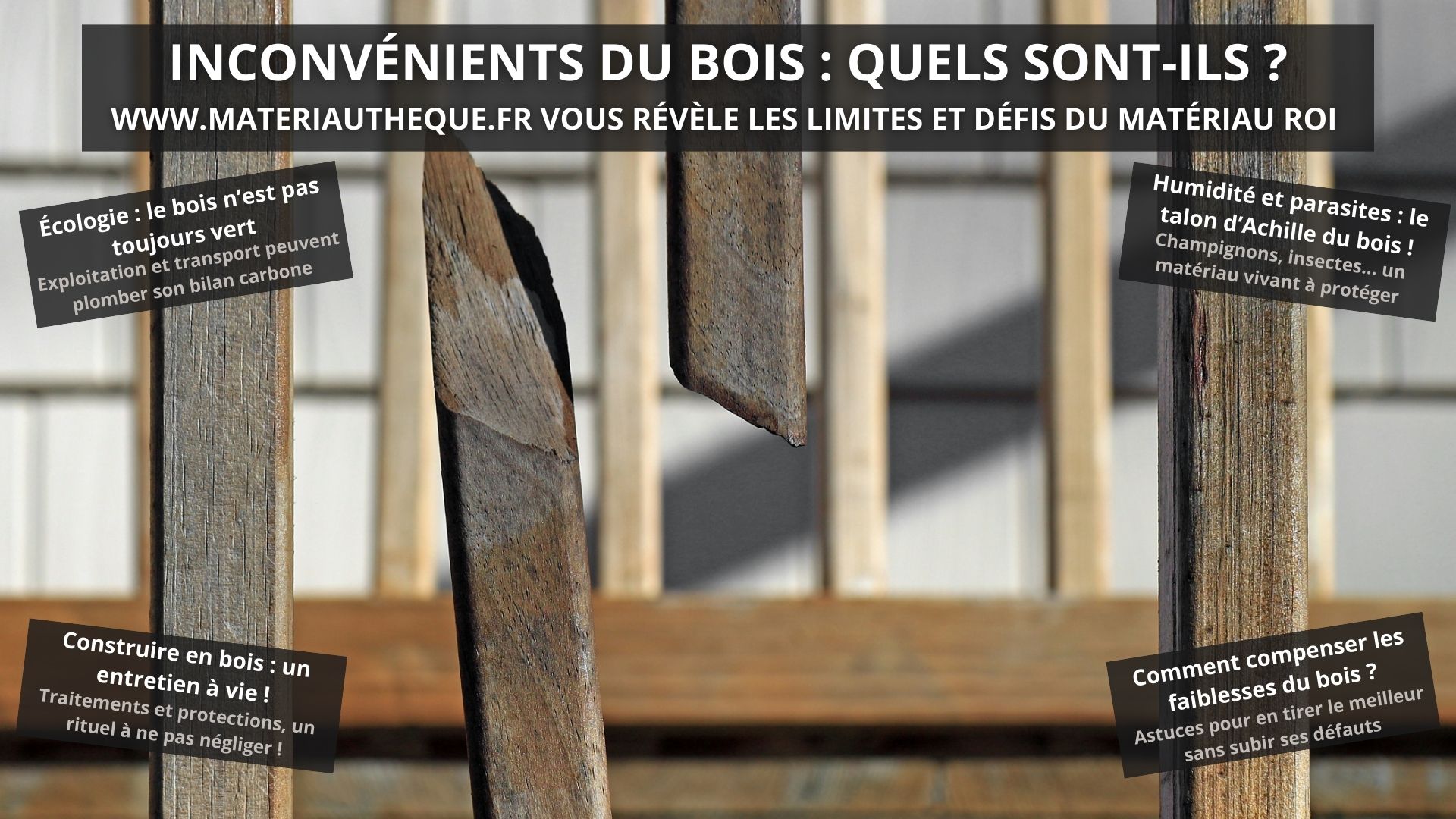 Matériauthèque | Le bois | qu'est-ce que c'est