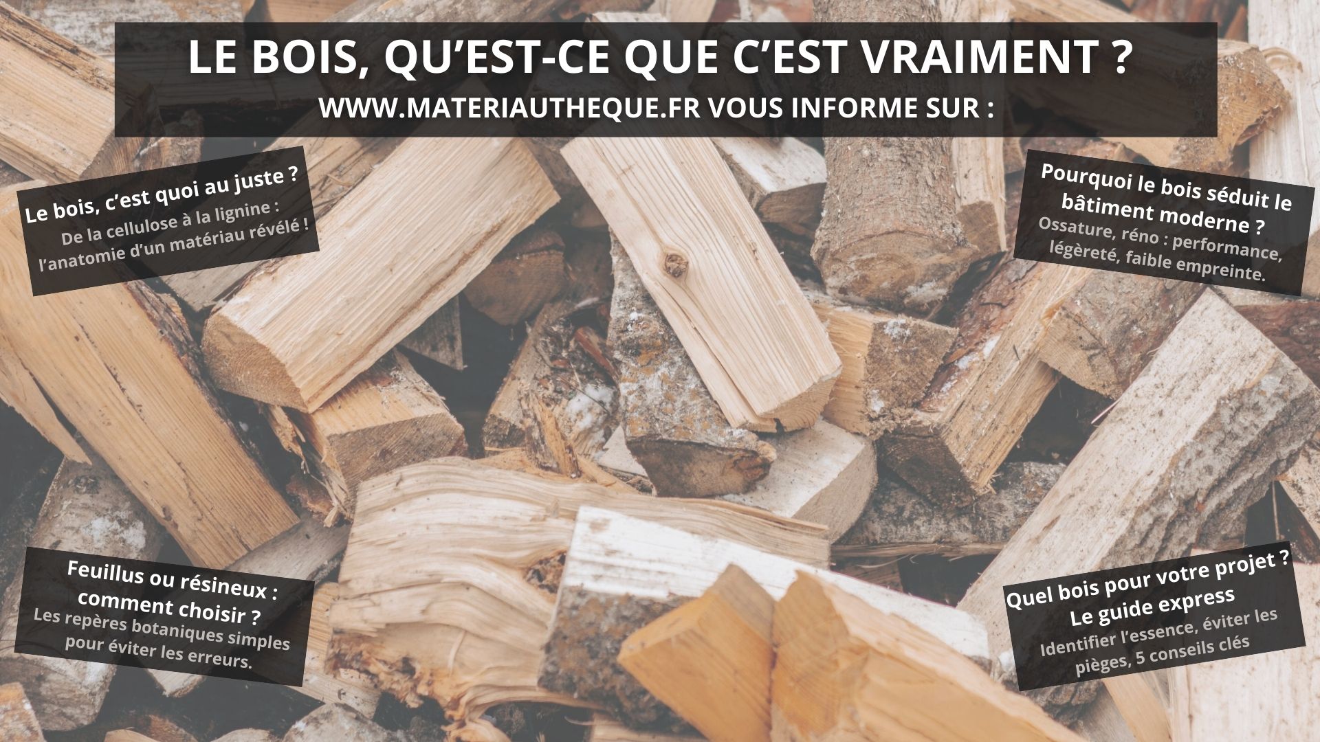 Matériauthèque | Le bois | qu'est-ce que c'est