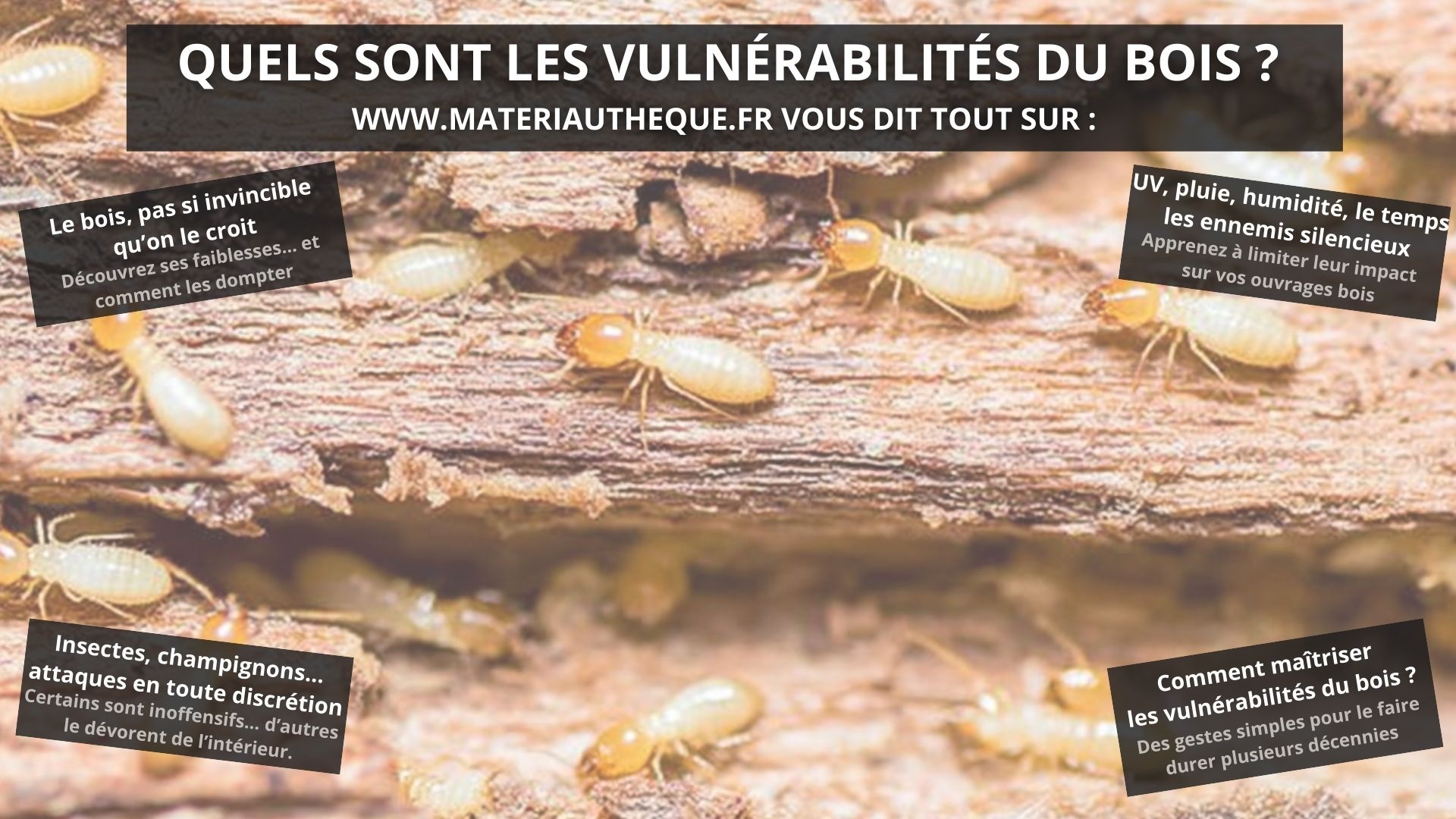 Matériauthèque | Quelle est l'histoire du bois